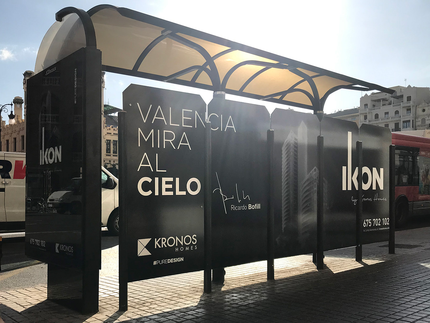 Ikon - Cat and Curious