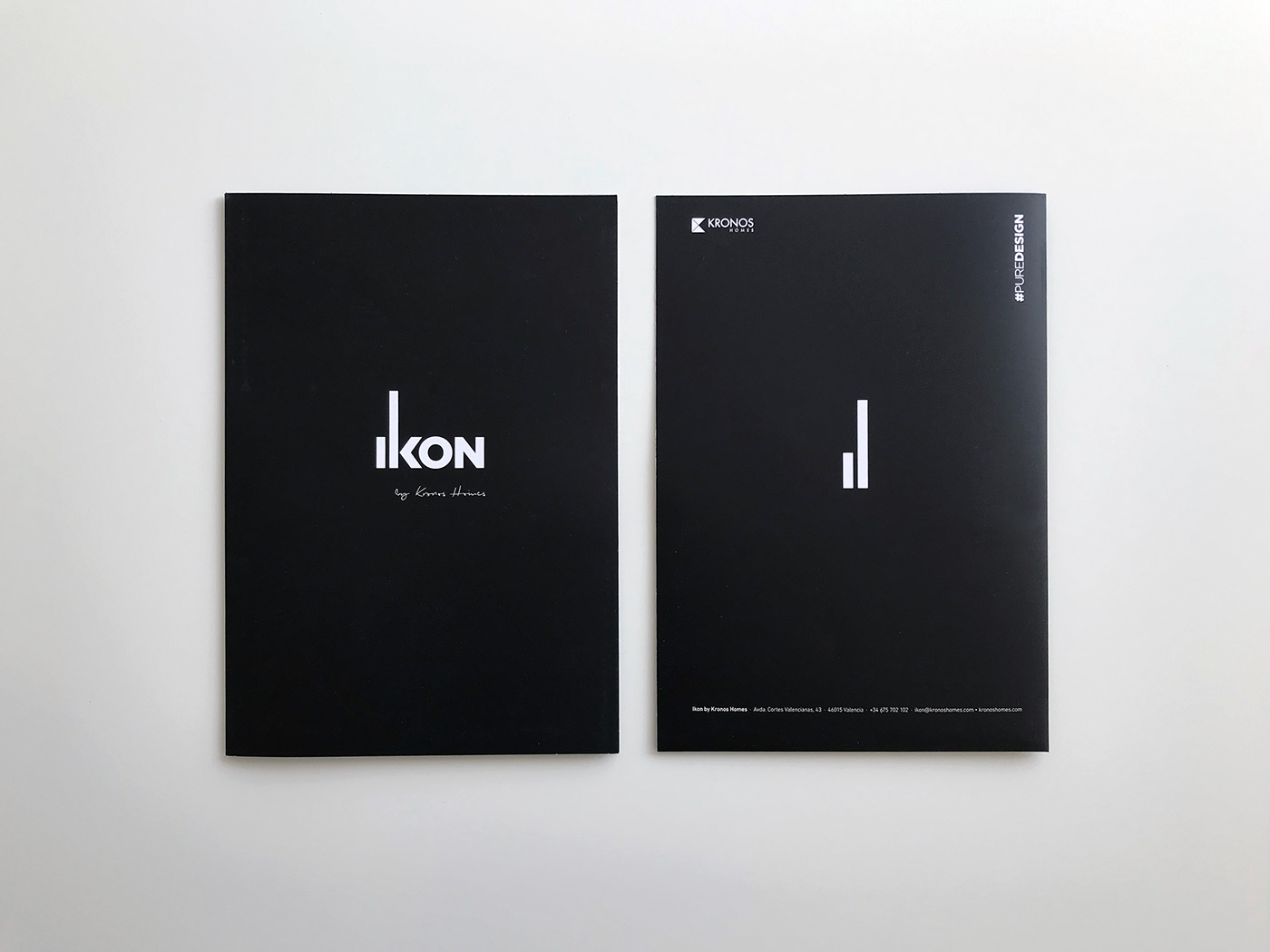 Ikon - Cat and Curious