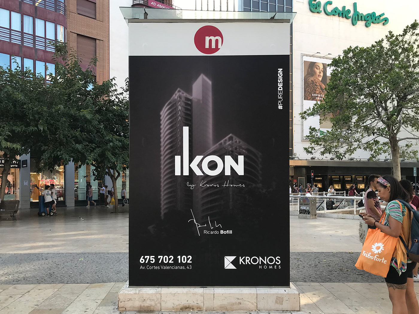 Ikon - Cat and Curious