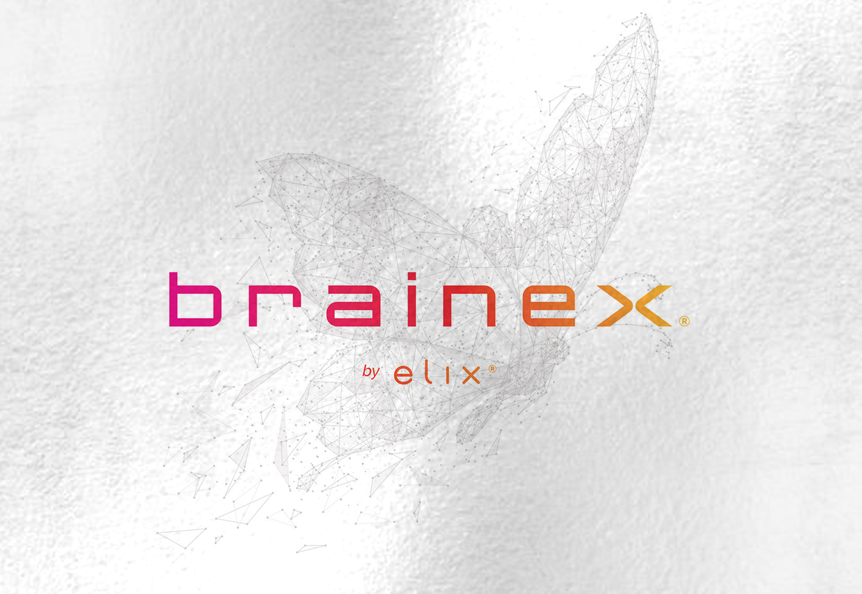 Brainex® - Cat and Curious