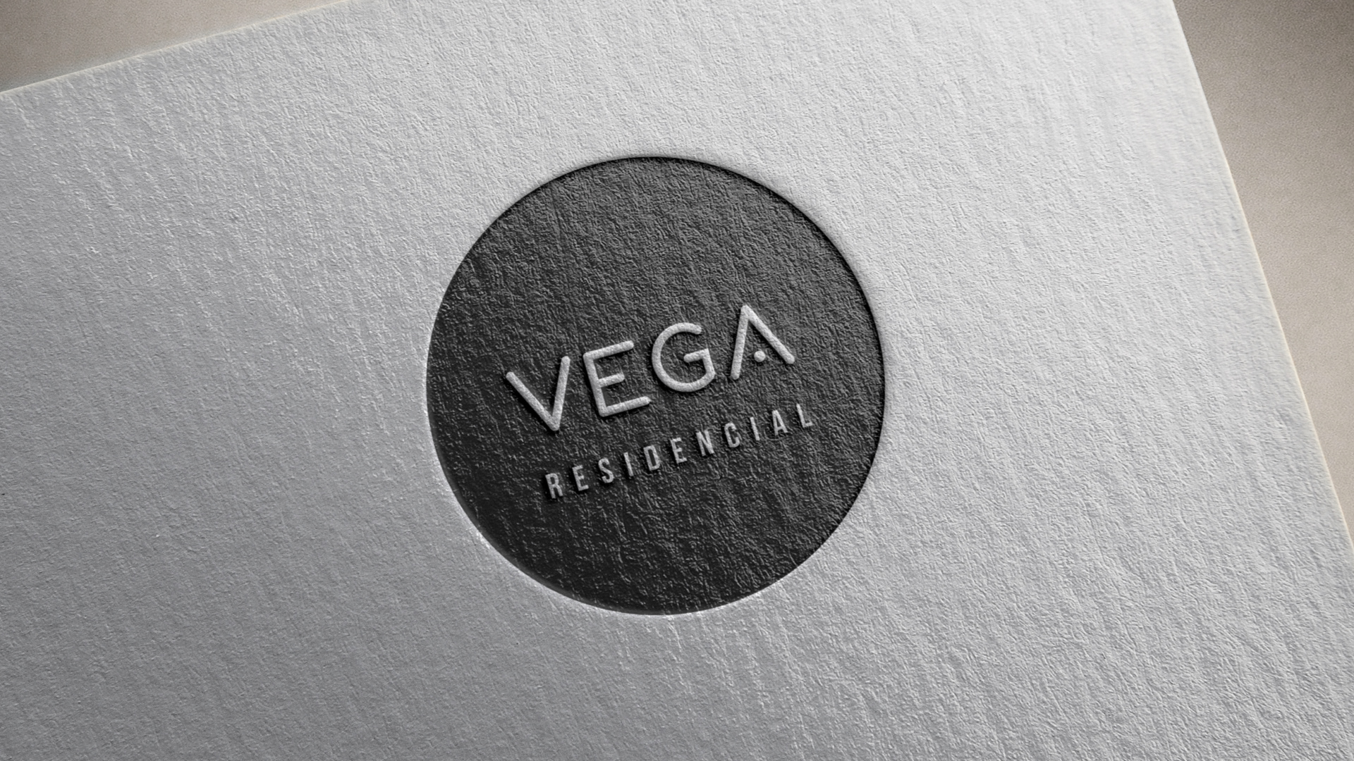 Vega - Cat and Curious