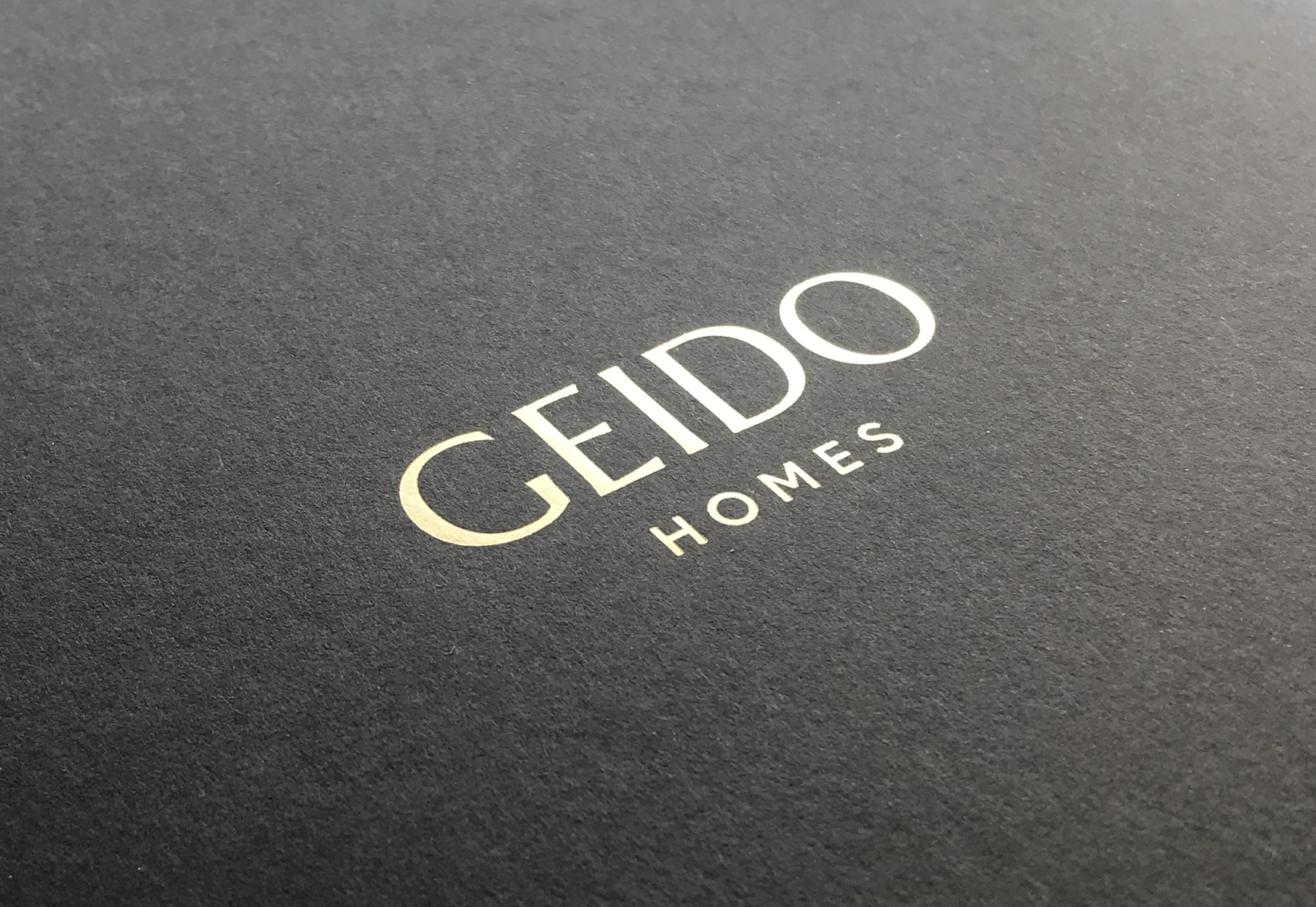 Geido Homes - Cat and Curious